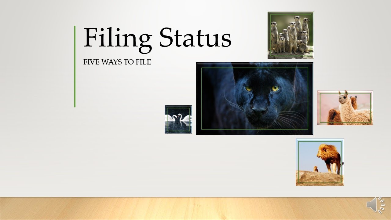 2024 Filing Status - YouTube