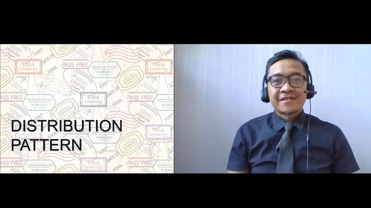 Travel Distribution System 2: Distribution Pattern - YouTube