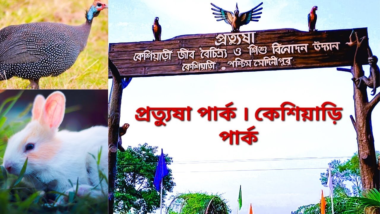 প্রত্যুষা পার্ক ৷৷ Pratyusha Park ||Keshiary Park || Belda to Pratyusha ...