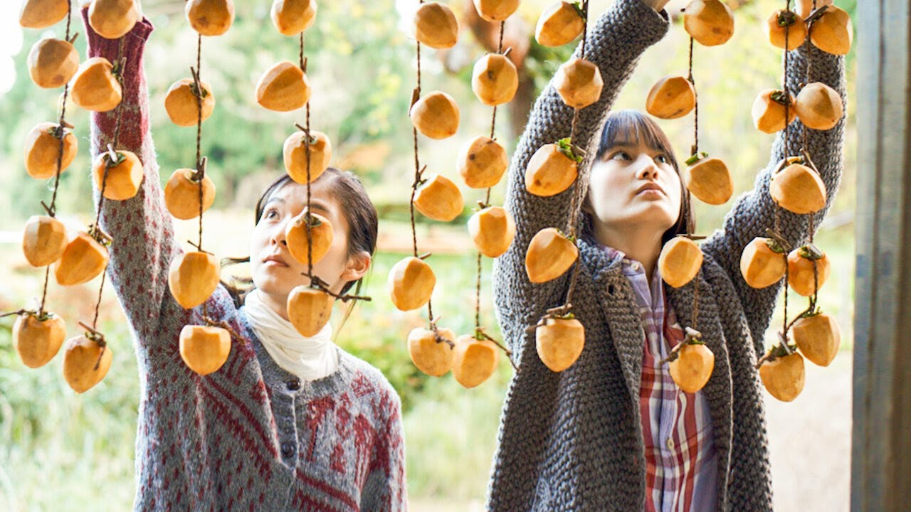 Little Forest: Summer, Autumn, Winter, Spring (2014, 2015) - Japanese ...