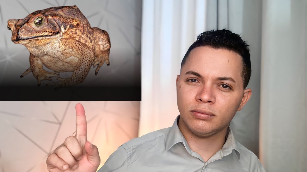 Eu vi um Sapo com a boca costurada com seu nome, ouça essa revelação ...