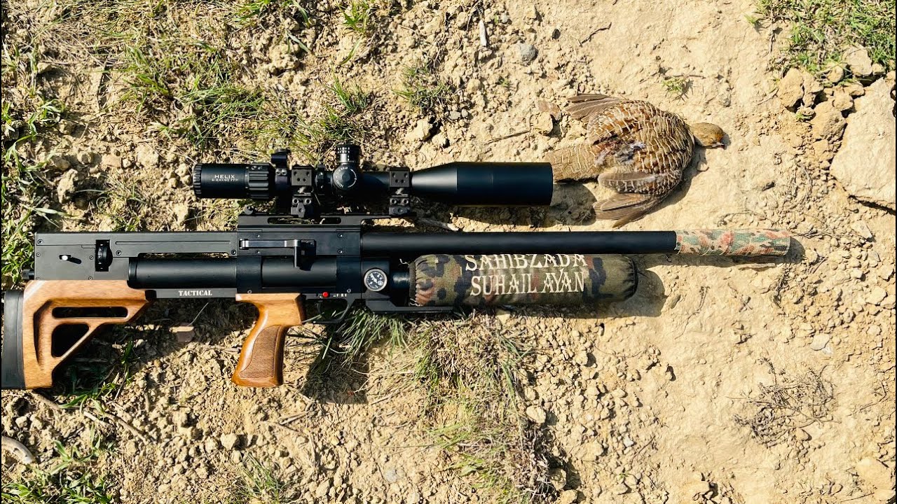 #teetar #entertainment #kaliber #Cricket_2_Tactical#hunting #longshot ...