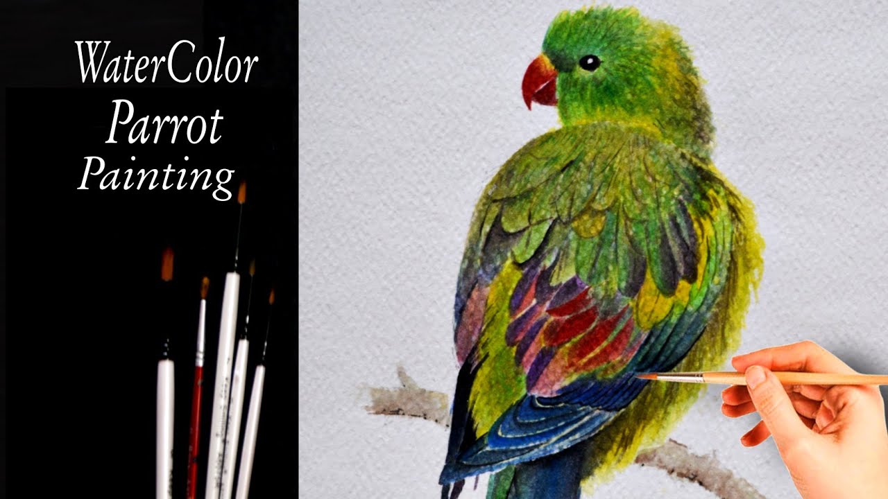 Parrot WaterColor Painting Easy | How Paint A Realistic Parrot - YouTube