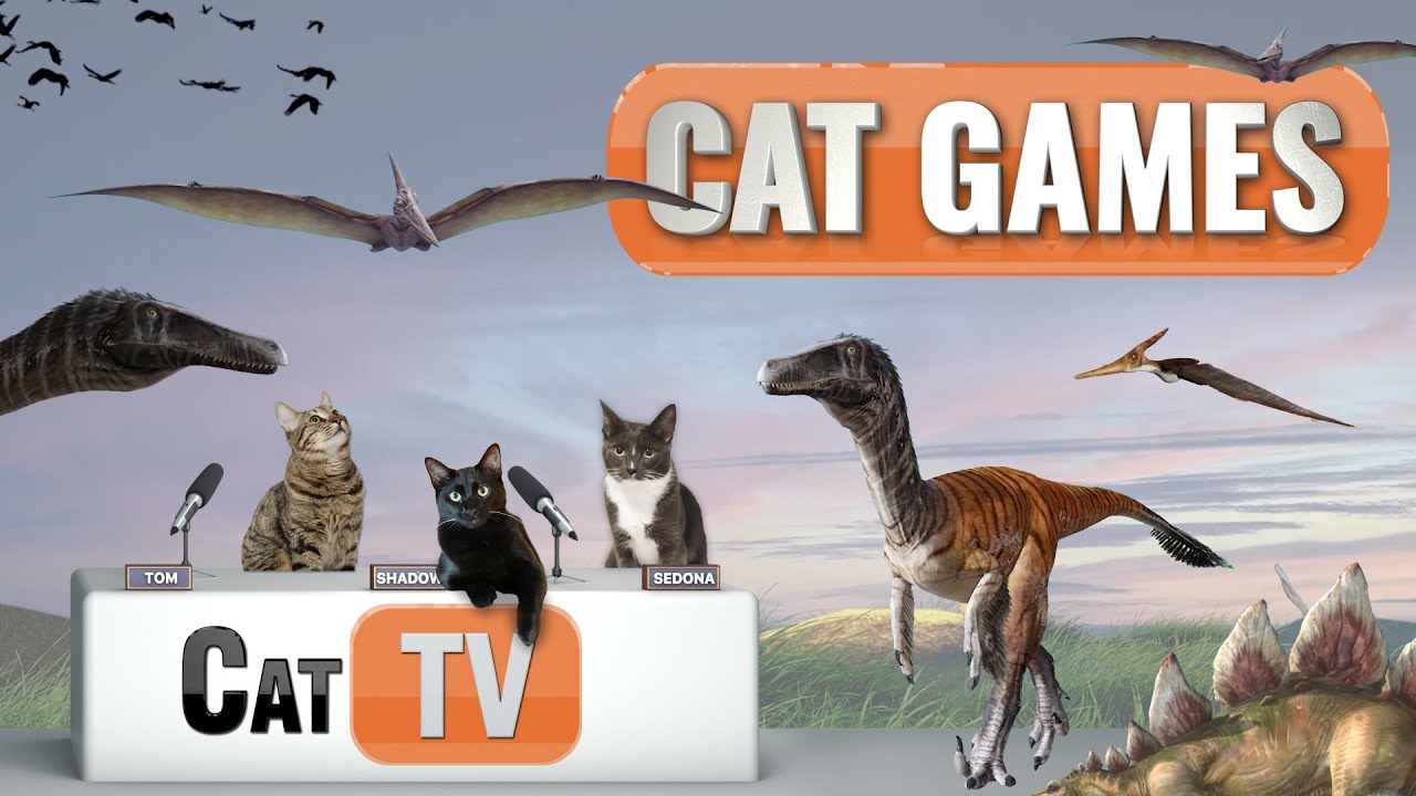 CAT Games | Purrasic World - Dino-tastic Entertainment for Cats! 🦕😺 ...