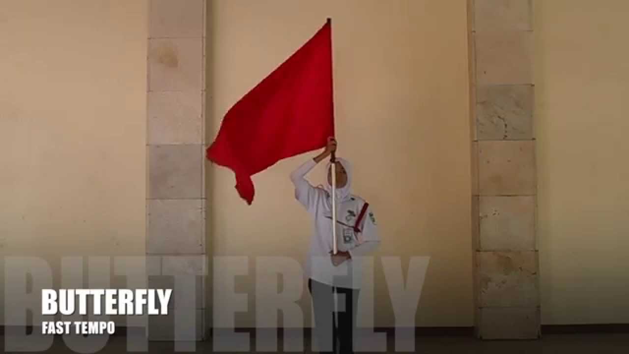 Tutorial Basic Color Guard - Butterfly - YouTube