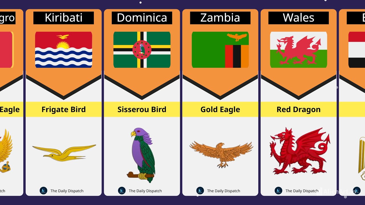 List of Country Flags That Feature Animals | The Daily Dispatch - YouTube