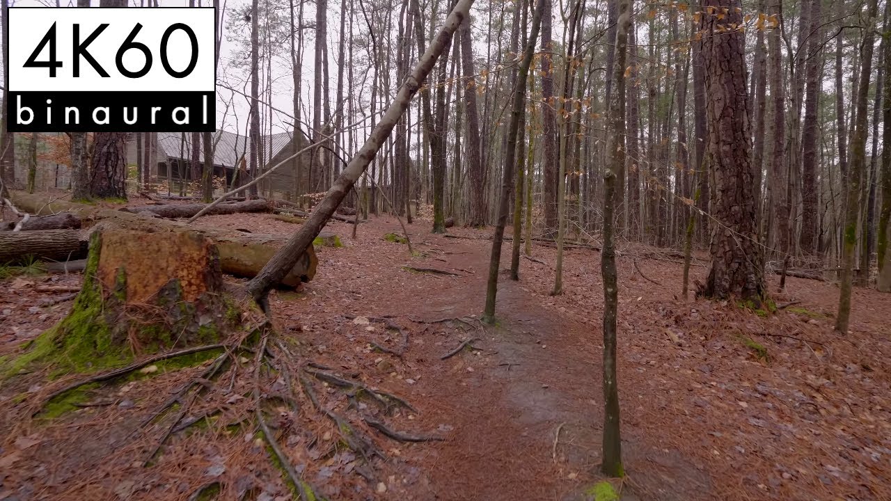 4K Walk - Raleigh, North Carolina - William B. Umstead State Park - Sal ...