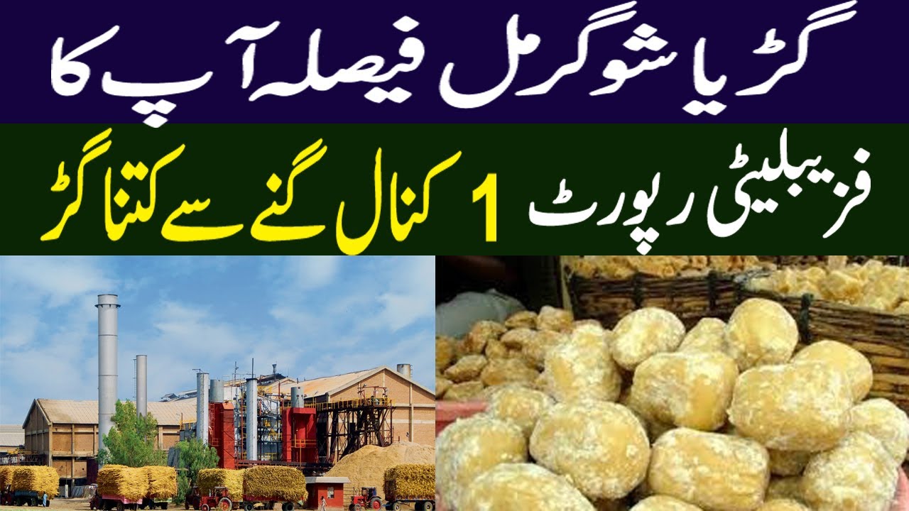 Gurr Making | Jaggery Making from Sugar Cane | Feasibility Report Gurr ...