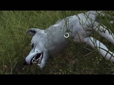 Dayz-Wolf Attacks - YouTube