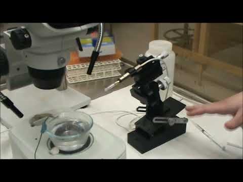 To use the Warner Instrument IE 210 - YouTube