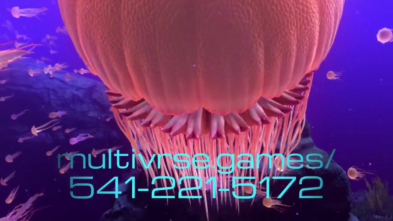 MultiVRse VR Gaming - YouTube