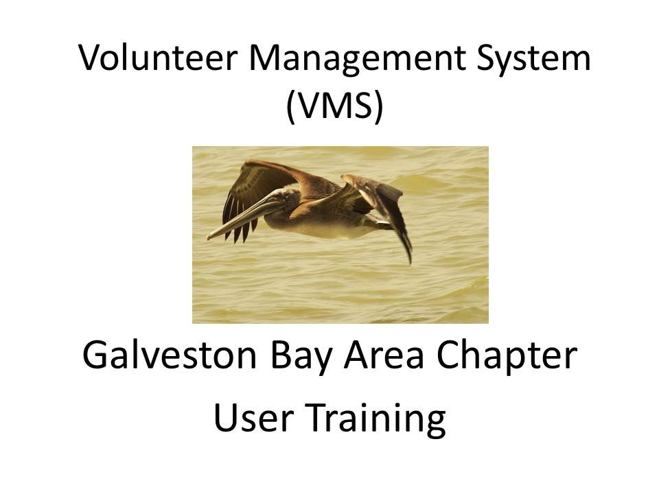 VMS Training Video - YouTube
