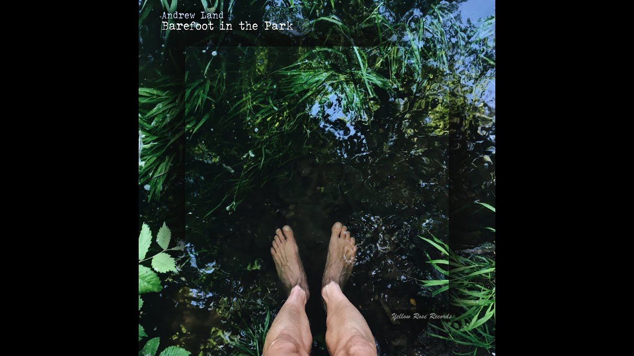 Barefoot in the Park | Andrew Land | Peaceful Piano Music - YouTube