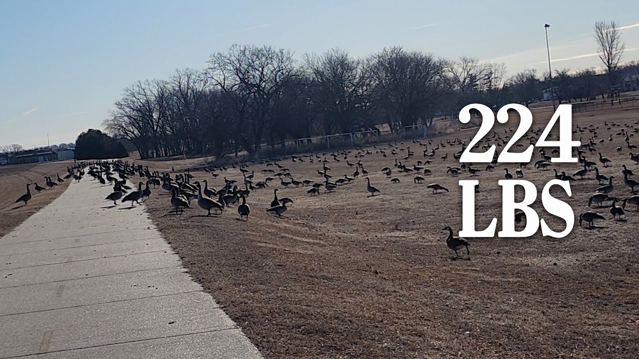 These Dang Birds Halted My Trail Walk | TakiyahLouise - YouTube