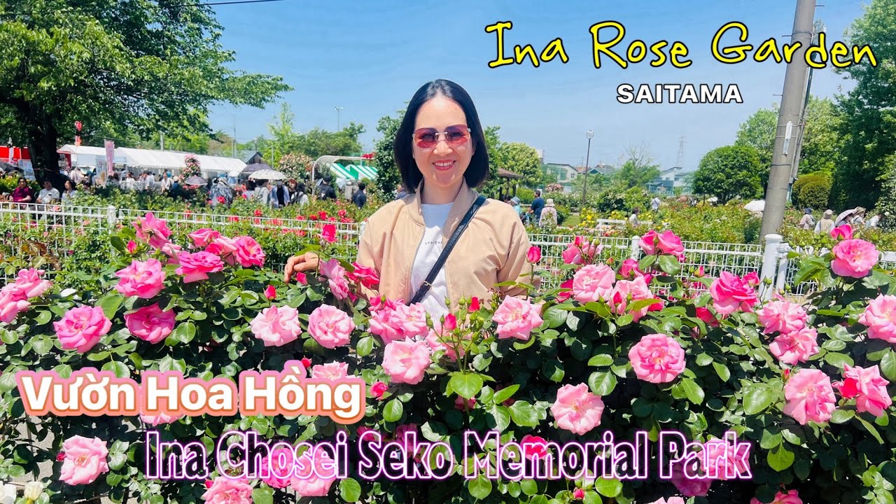 🇯🇵Khám Phá Vườn Hoa Hồng Đẹp Rực Rỡ | Ina Rose Garden | Ina Chosei Seko ...