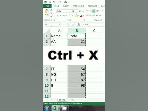 How to replace columns in Ms Excel | Lunar Computer College - YouTube