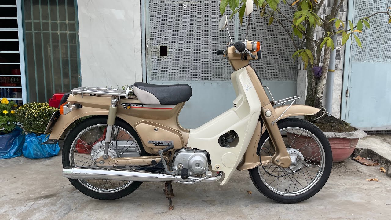 Honda cub 83/50 vàng đồng mới về(xe đã bán) - YouTube
