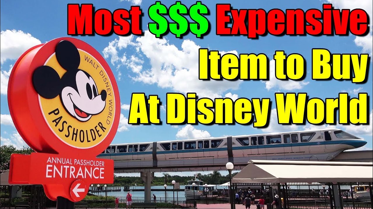 Most Expensive Item To Buy at Walt Disney World - YouTube