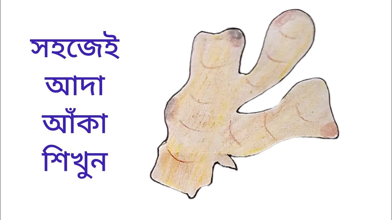 how to draw ginger/ginger drawing/ginger drawing step by step/আদা আঁকা ...