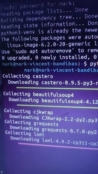 How to Create a Python Virtual Environment on Ubuntu - YouTube