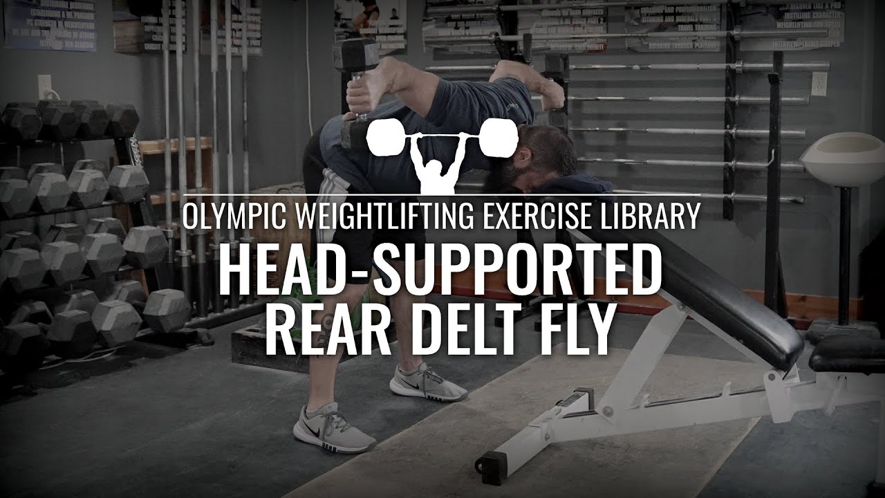 Head Supported Rear Delt Fly | Olympic Weightlifting Exercise Library ...