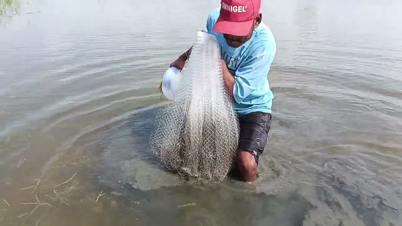 Net bishunu fishing best amazing viral langa video🐠#villagelife # ...