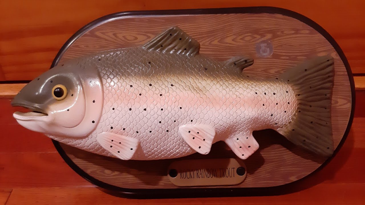 Rocky Rainbow Trout Singing Fish (Older Version) REUPLOAD - YouTube