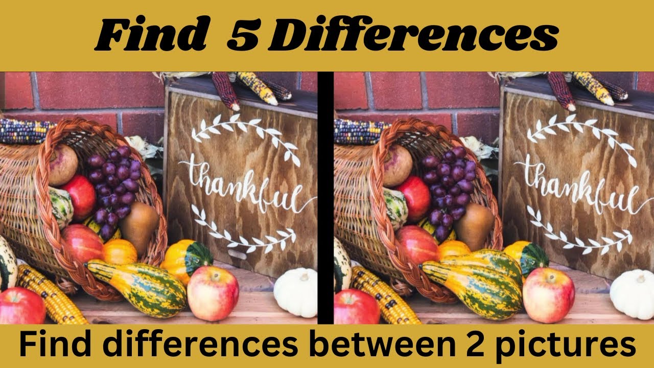 Find 5 Differences| Find the difference between two pictures | Find the ...