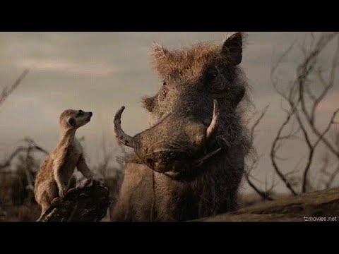 Timon and Pumba Funny Scene in Hindi