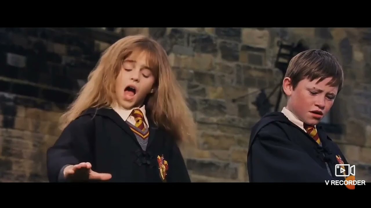 Harry's first quidditch lesson, Harry Potter and the sorcerer's stone ...