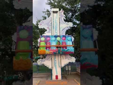 Seaworld San Antonio | Elmo’s Dolphin Dive
