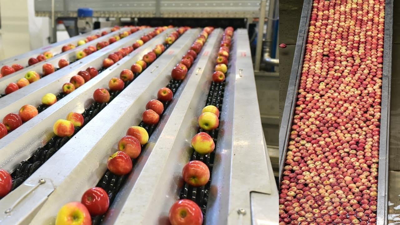 Apple Processing Factory | Apple Industry Processing | Processing World ...