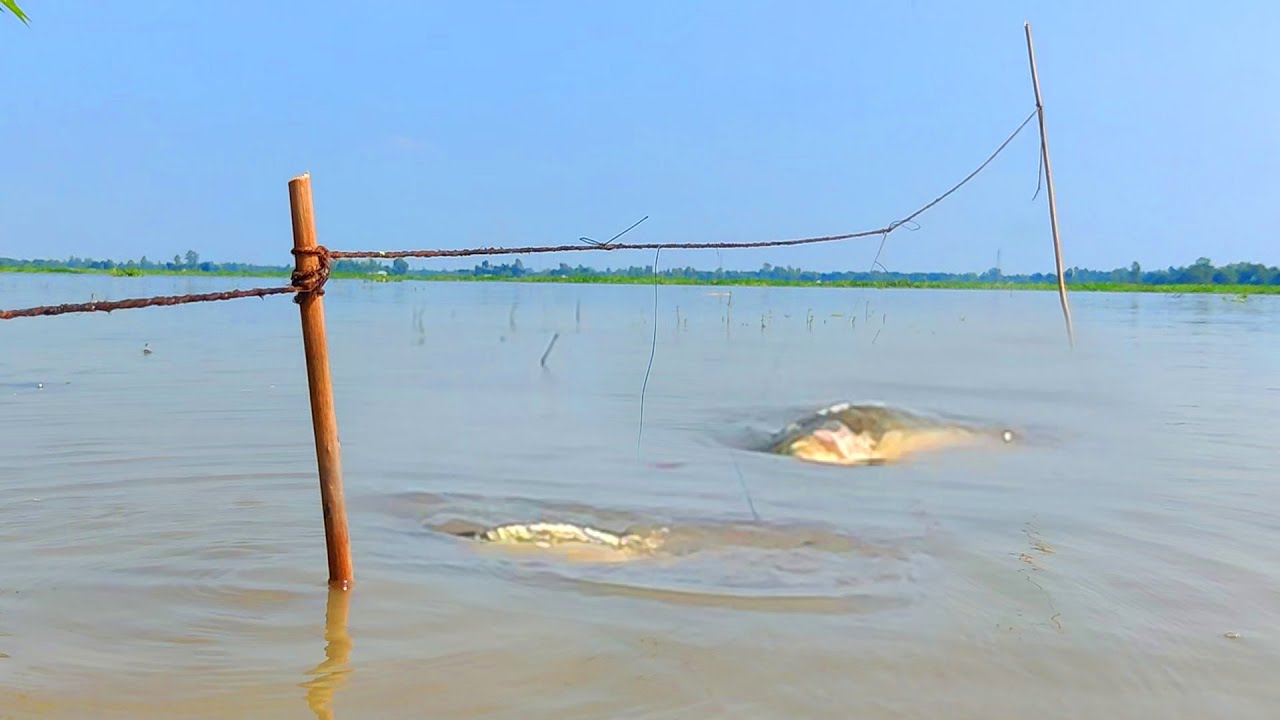 New hook fishing technique | Old professional fish hunter catching fish ...