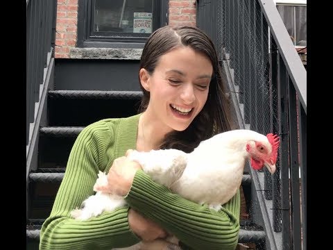 Orthodox Jewish Girl Secretly Gives Activist a Slaughter-bound Chicken