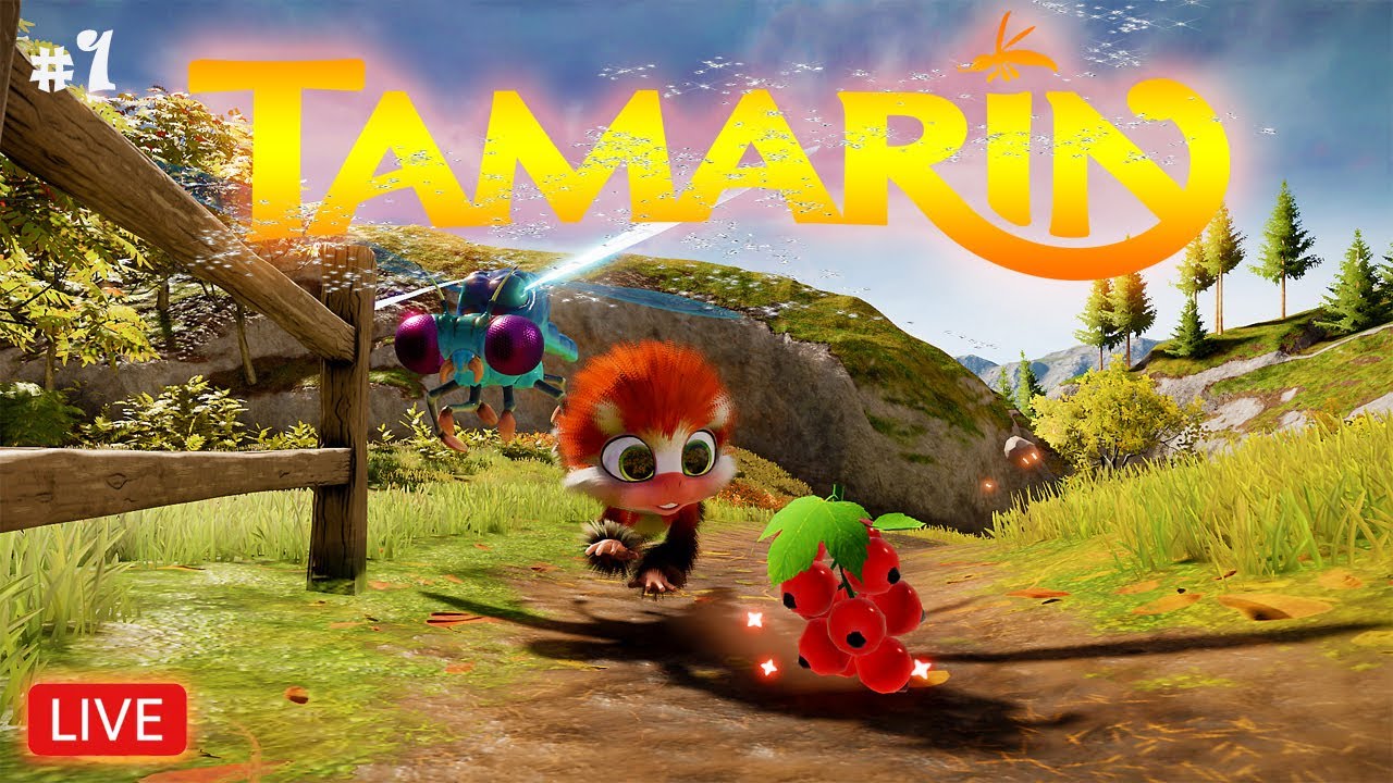 🔴 Tamarin LIVE #1 | This Game Is Beautiful! - YouTube