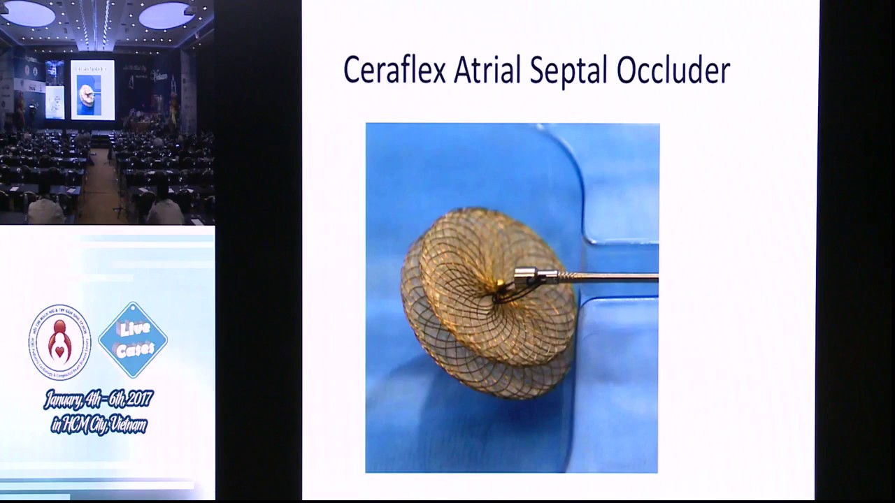 Lifetech Ceraflex Presentation by Prof. Kevin P Walsh - YouTube
