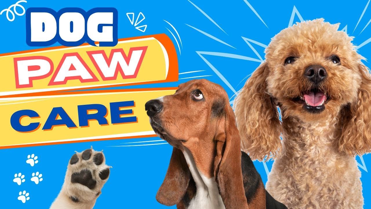 Dog Paw Pad Care - YouTube