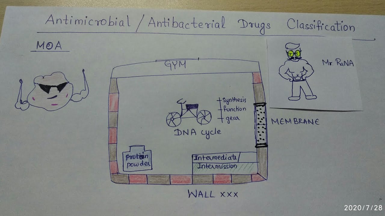 Antibacterial or antimicrobial drug classification: overview - YouTube