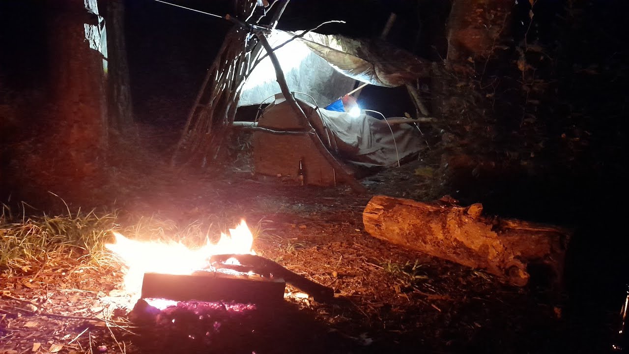 Wild camping Scotland. Solo Woodland Swag camp. Campfire cooking. - YouTube