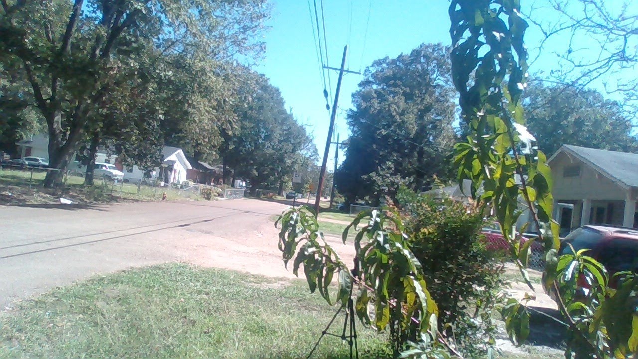 Southern Rural morning sounds relax and enjoy birdsongs on a cool ...