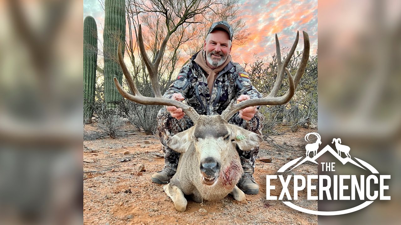 Ole Mexico Sonora Mule Deer with Jim Beltz - YouTube