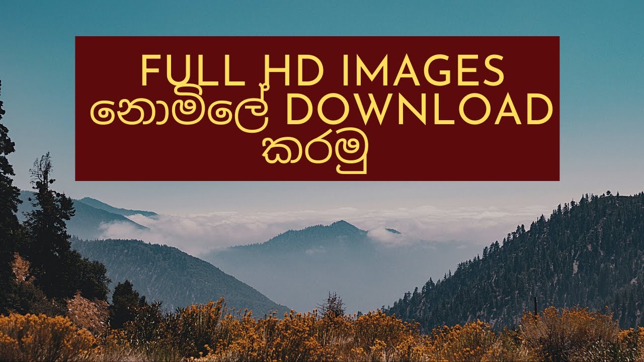 Free Stock Image Websites to Download HD Images in Sinhala | Best ...