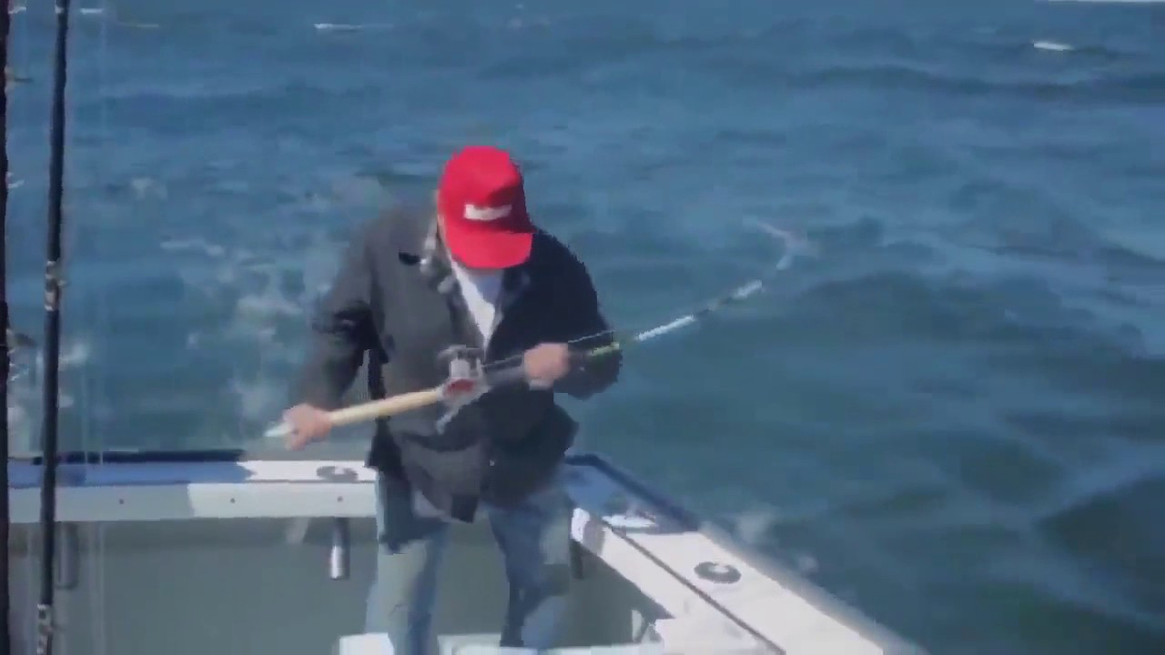 People getting pulled into the water by fish - YouTube