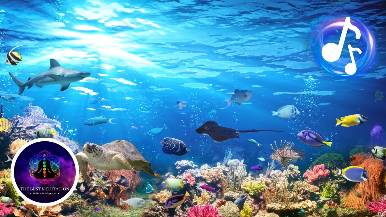 Discover Greatness Underwater | Sleep & Relaxation Music | The Best ...