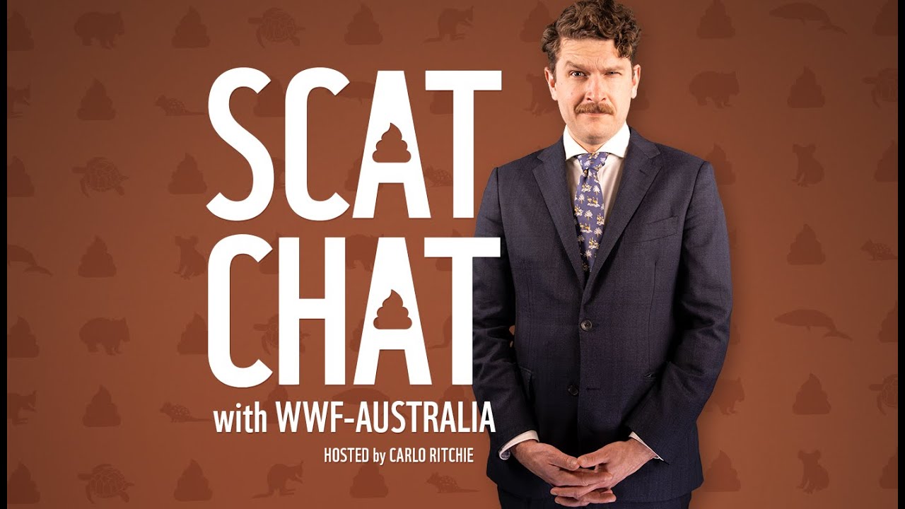 Scat Chat with WWF Episode 2: Eastern quoll droppings into your DMs ...