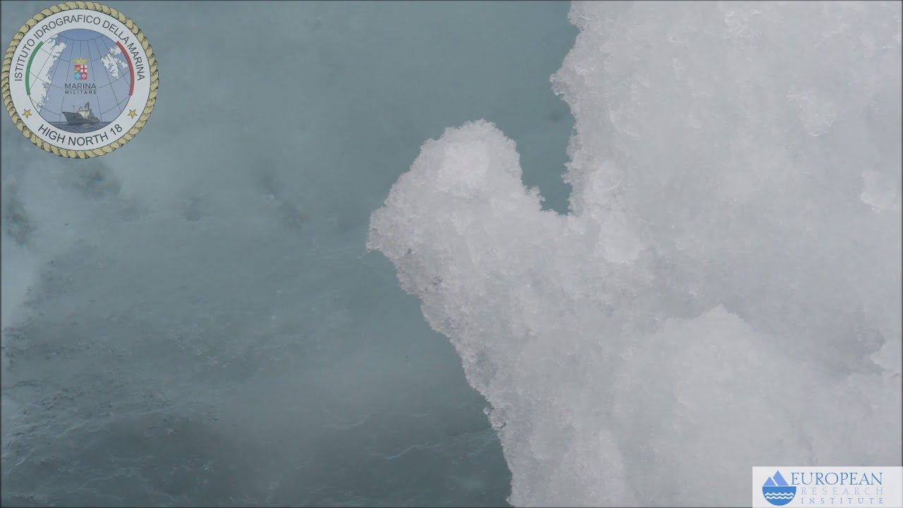 Plastics in Arctic icepack - Plastica nel ghiaccio della calotta polare ...