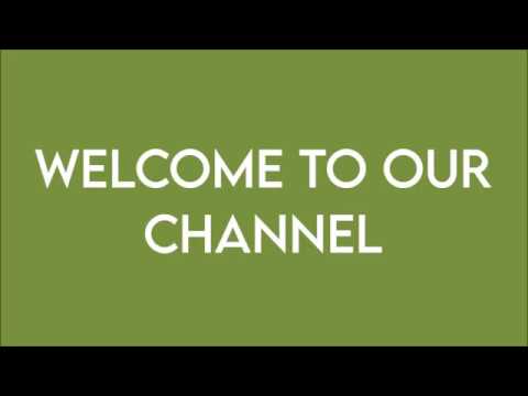 Shrek Squad Channel Trailer - YouTube