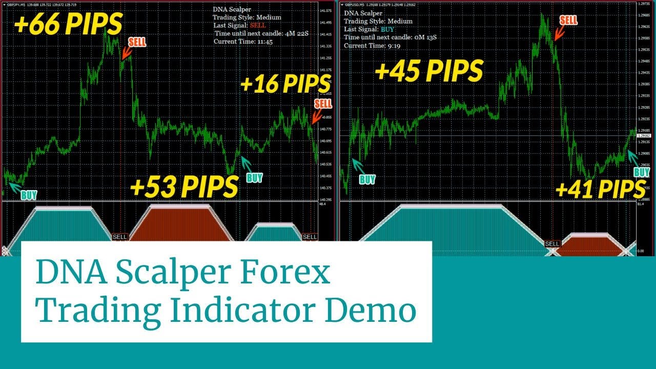 DNA Scalper Forex Trading Indicator Demo - YouTube