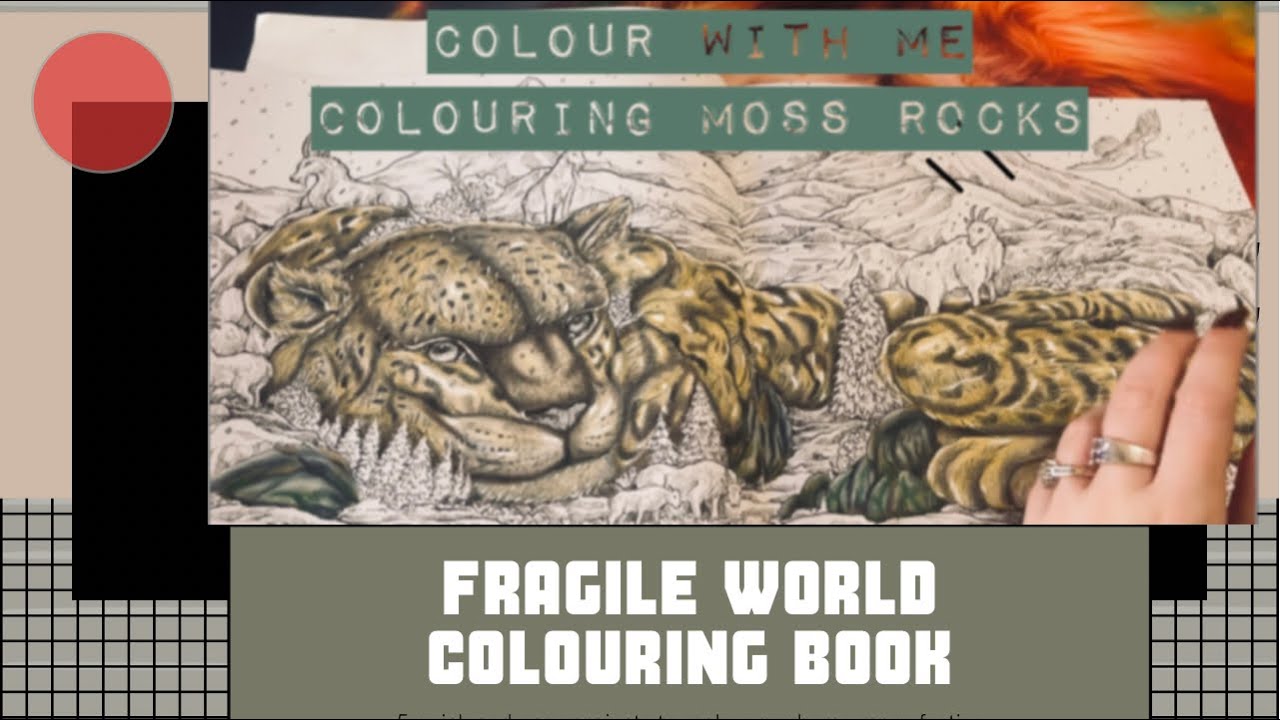 Fragile world - snow leopard page ( And Press on nail recommendation ...