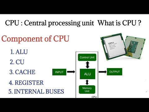 What is CPU? Components of CPU#viral#completevideo #yu education - YouTube